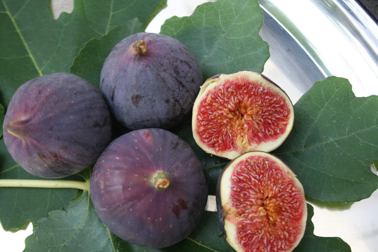 Cultivarea Smochinului: Ghid de Îngrijire și Plantare